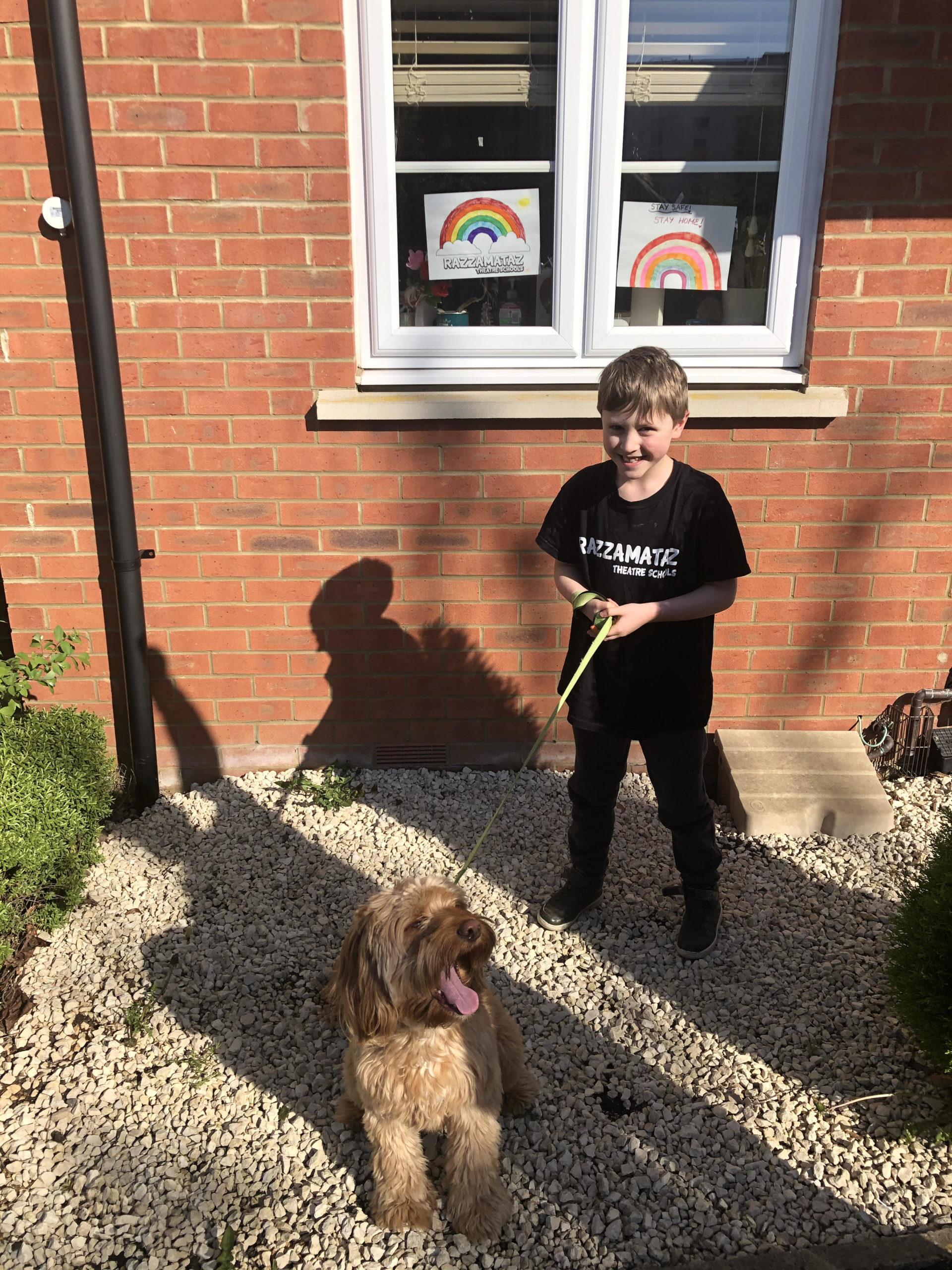 pic 2 callum dog walker - EWiF